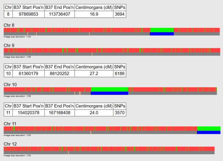 Tips for Using GEDmatch - Genie1 Genetic Genealogy