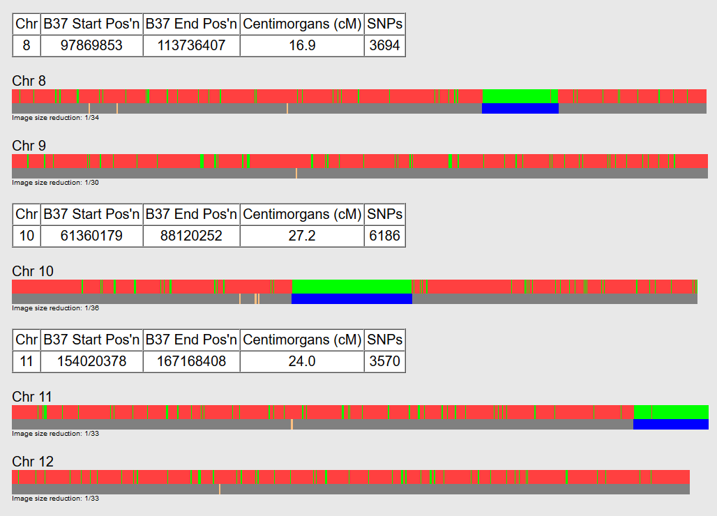 Tips for Using GEDmatch - Genie1 Genetic Genealogy