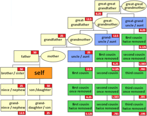 atDNA: Finding Matches on All Ancestral Lines - Genie1 Genetic Genealogy